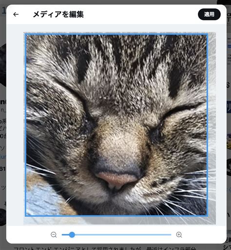 Vue Filepond Cropper Js