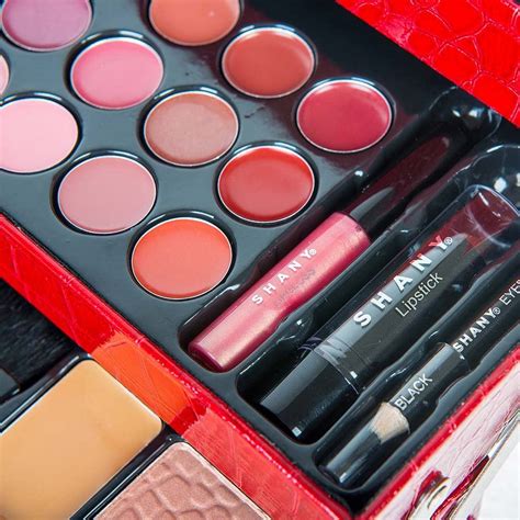 Buy Shany All In One Makeup Kit Eyeshadow Blushes Powder Lipstick