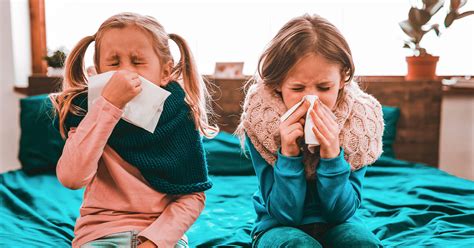 What Is The Difference Between A Cold And The Flu PUCNC