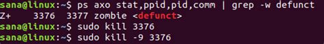How To Kill Zombie Processes In Ubuntu Vitux