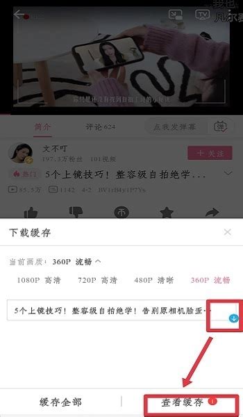如何下载BILIBILI 哔哩哔哩 上的视频 新知