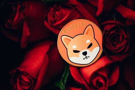 Shiba Inus Shytoshi Kusama Wont Stop Shibarium Whatsoever
