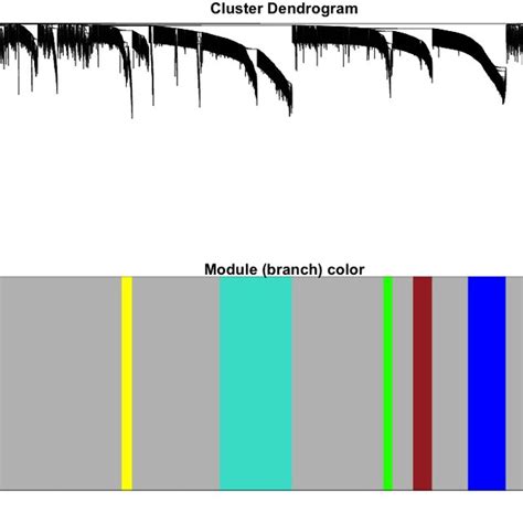 Hierarchical Clustering And Module Finding In Rna Seq Dataset