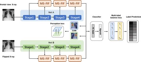 Multi Scale Attention Networks 1 Ms Fif Is Used To Better Download Scientific Diagram