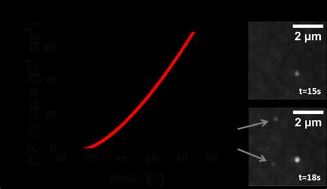 A Variation Of The Np Volume As A Function Of Time During A Ca At