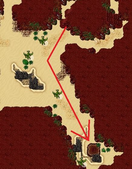 Tibia Pl Darashia Dragon Quest