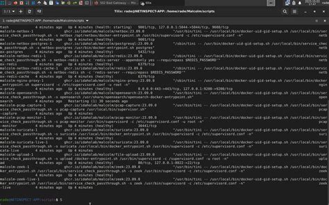 Cannot Start After Deployment From Iso Issue Cisagov Malcolm Github