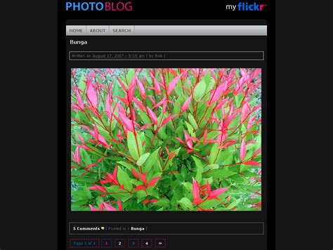 Photo Blog Wordpress Theme Eblog Templates