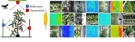 Table 1 From Thelr547v1—an Asymmetric Dilated Convolutional Neural Network For Real Time
