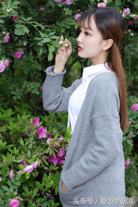 薔薇花下的清新少女美如天使 每日頭條