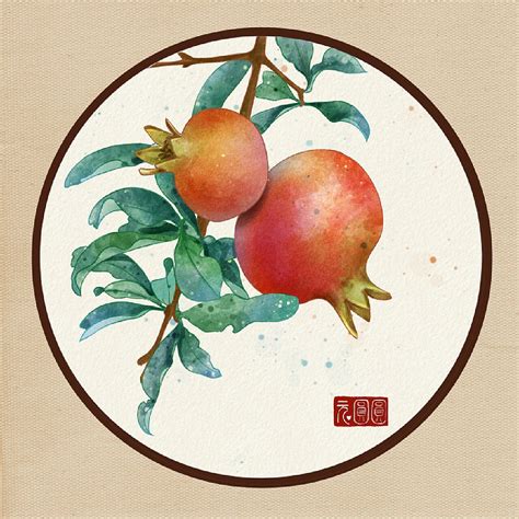 水彩风 水果插画 枇杷 桔子 石榴 柿子元圆圆插画 站酷zcool