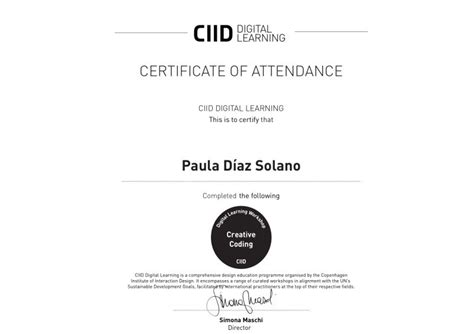 Paula Díaz Solano On Linkedin Ciid Creativecoding
