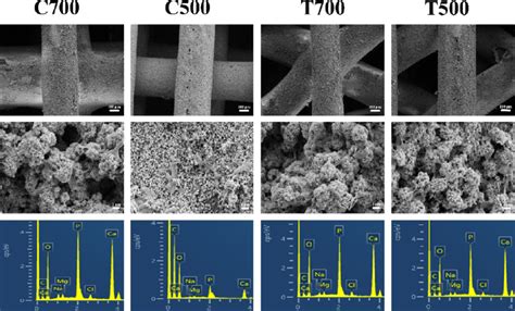 Fe Sem Images Top View And Edx Analysis Of The Pcl Scaffolds Before