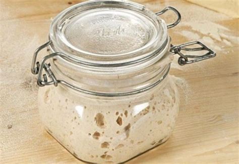 Come Preparare Il Lievito Madre In Casa La Ricetta Da Non Perdere
