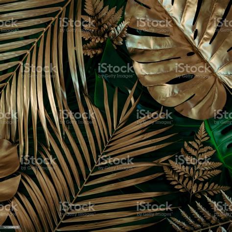 창조적 인 자연 배경 금색과 녹색 열대 몬스터와 야자수 잎 최소한의 여름 추상 정글 또는 숲 패턴 0명에 대한 스톡 사진 및 기타 이미지 Istock
