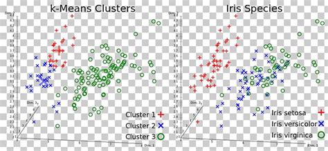 K Means Clustering Cluster Analysis Algorithm Machine Learning Png