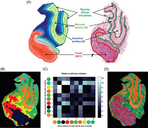Example Of Incorporation Of Spatial Information In Clustering Of Maldi