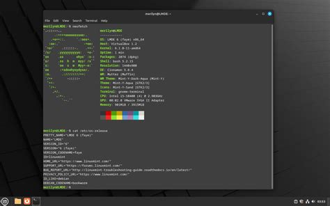 LMDE Linux Mint Based On Debian Officially Released FOSTips