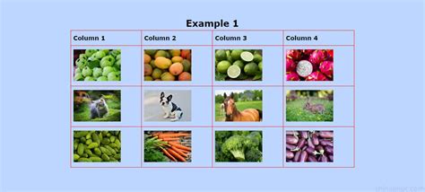 How To Add Images To An HTML Table