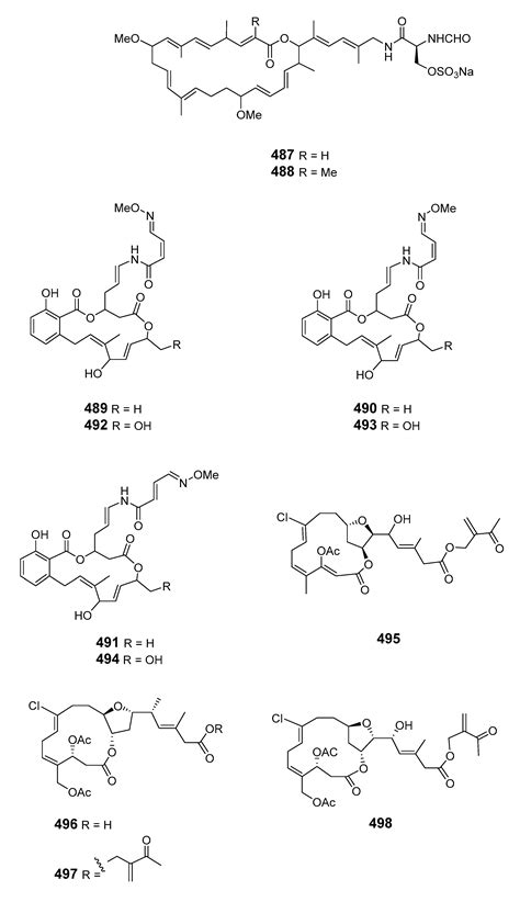 Marine Derived Macrolides 19902020 An Overview Of Chemical And