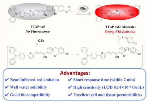An Innovative Aggregation Induced Emission Based Nir Fluorescent Probe For Visualizing