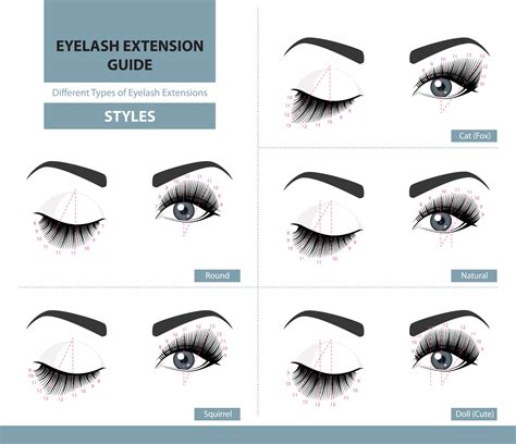 Lash Lift Poster Lash Mapping Classic Lashes Cat Eye Doll Eye