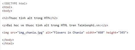 Thẻ img trong HTML cú pháp và cách sử dụng