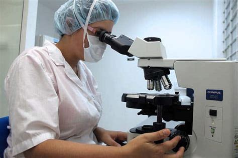 Top Pros And Cons Of Cloning Reproductive Cloning BioExplorer