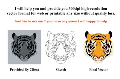 Do Vector Tracing Or Redraw Any Image By Up Level Fiverr