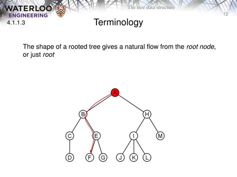 PPT The Tree Data Structure PowerPoint Presentation Free Download ID 4374741