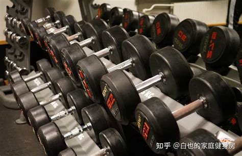 买多少公斤哑铃合适？ 知乎