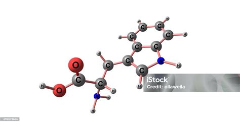 흰색 절연 트립토판 분자 구조 3차원 형태에 대한 스톡 사진 및 기타 이미지 3차원 형태 Tryptophan 건강관리와