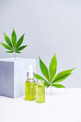 화장품 Cbd 오일과 대마초의 잎 대마 오일 Thc 팅크 대마 잎 및 큐브 기하학적 모양의 유리 병의 현대 정수 0명에 대한