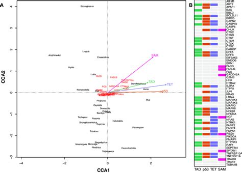 Canonical Correspondence And Phylogenetic Least Squares Analysis Download Scientific Diagram
