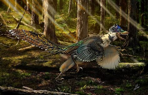Species New To Science Paleontology • 2015 Zhenyuanlong Suni • A