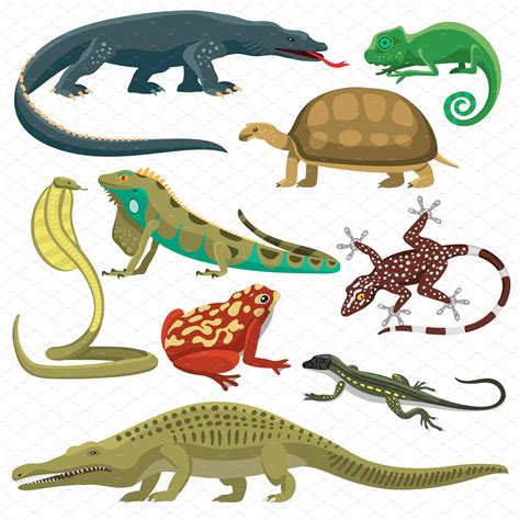 Pin On Illustrations