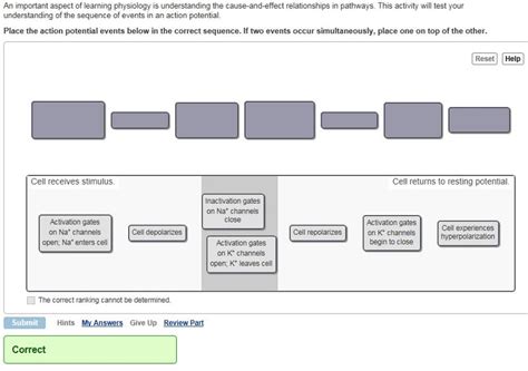 Focus Figure Action Potential Neurophysiology Activities