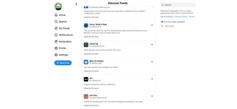 Bluesky Rolled Out Custom Algorithm Feeds To Everyone