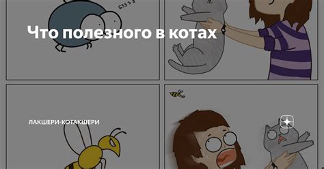 Что полезного в котах Лакшери Котакшери Дзен