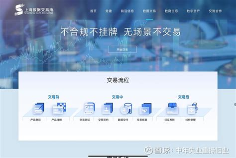 数据要素展望 《“ 数据要素 ×”三年行动计划（2024—2026年）（征求意见稿）》出炉，24年数据要素将开始走向落地阶段，二级市场 雪球