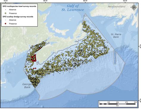 Presence And Absence Records Of Sponge Catch Recorded From Dfo Download Scientific Diagram