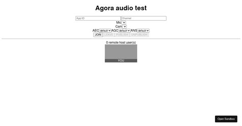 Agora Rtc Audio Test Codesandbox