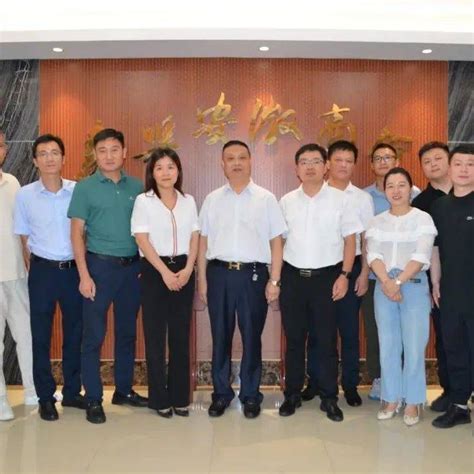 桐城市人民政府领导及企业家代表一行莅临商会考察指导徐良平安徽的发展