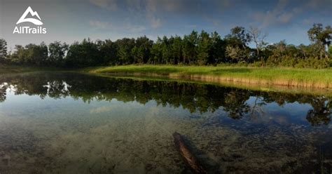 Best Trails Near Georgetown Florida AllTrails