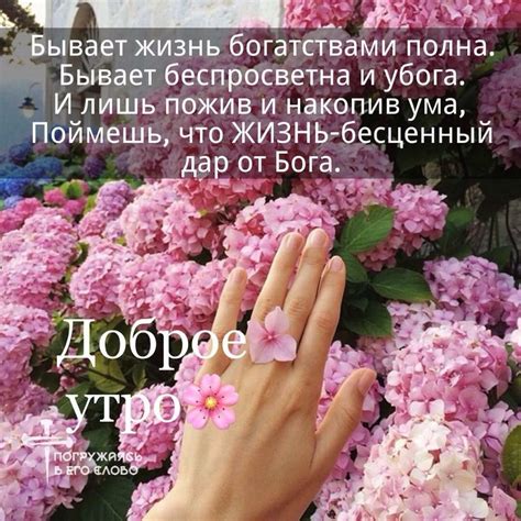 Благословенного дня фото и картинки 66 штук