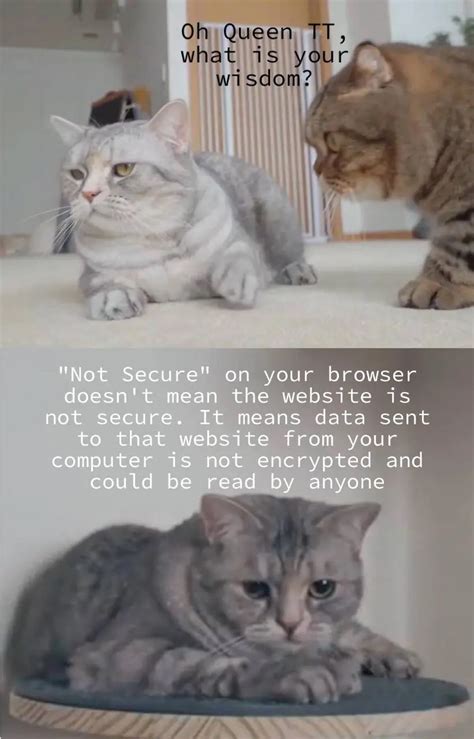 Networking Meme Template By Ilikeyellow15 Scrolller