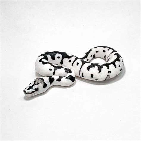 Axanthic Clown Ball Python Everything You Need To Know Vital Frog