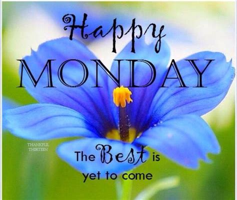 418 Best Its Monday Already Images On Pinterest Mondays Bonjour And