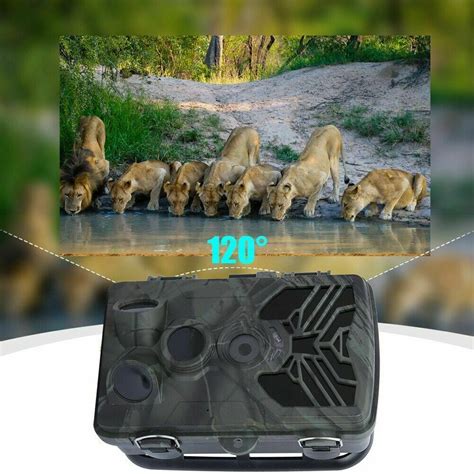 Фотоловушка Suntek HC-810 Wi-Fi, trail camera - Магазин - Hootor.com