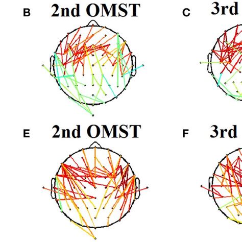 An Application Of Orthogonal Minimal Spanning Tree Omsts Applied To A Download Scientific